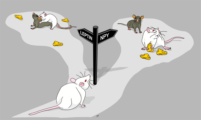 Recovering from Anorexia Nervosa by Machine